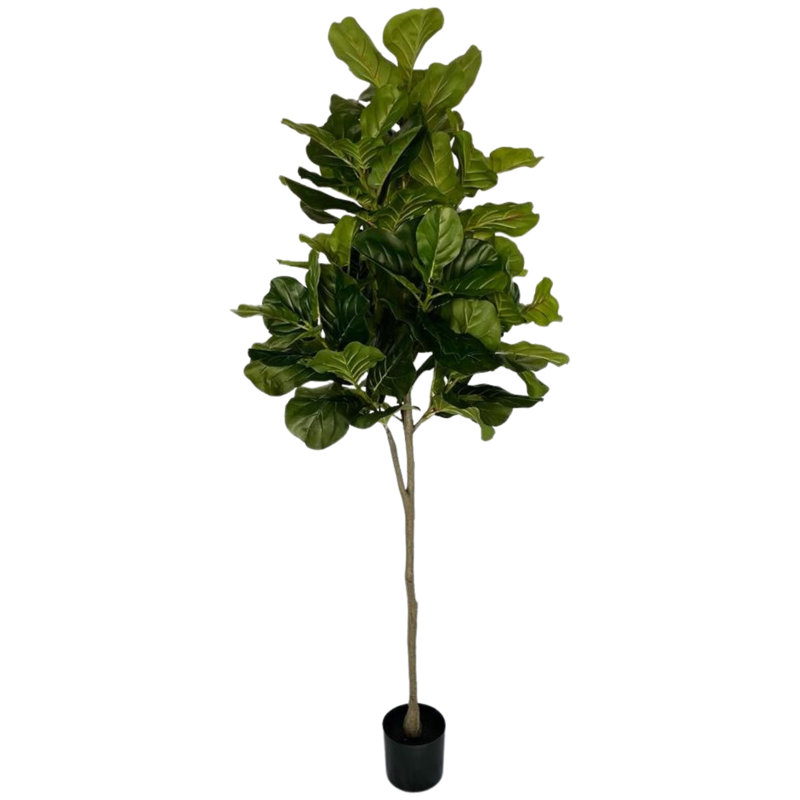 Primrue 6' Artificial Real Touch Fiddle Leaf Fig Tree in Plastic ...