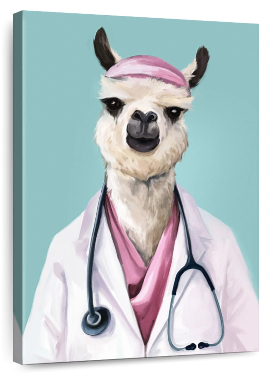 Dakota Fields Doctor Llama | Wayfair