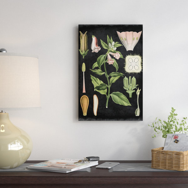 East Urban Home " Study In Botany II " on - Wayfair Canada