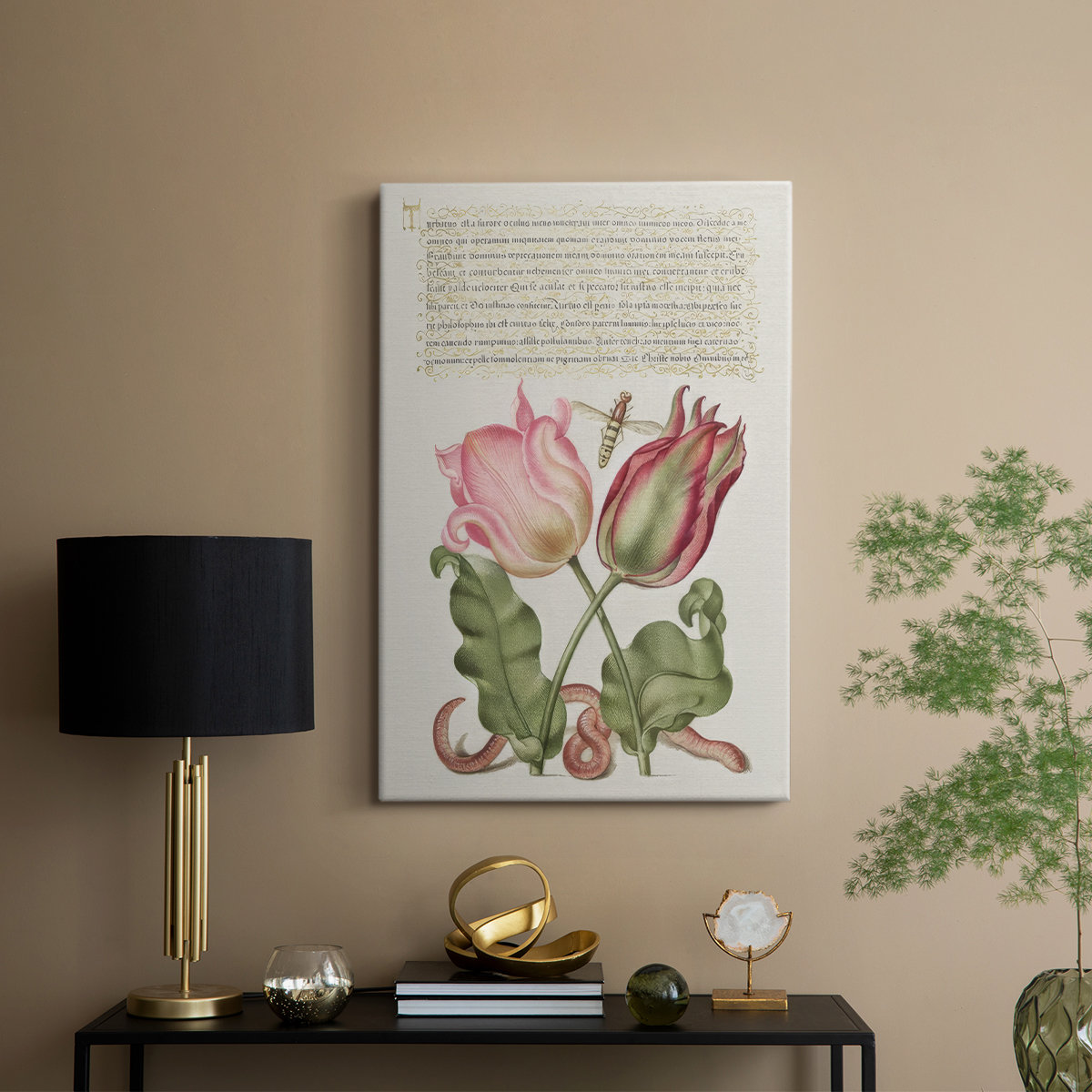 August Grove® Hoefnagel Tropical Specimens X -Custom Wrapped Gallery ...