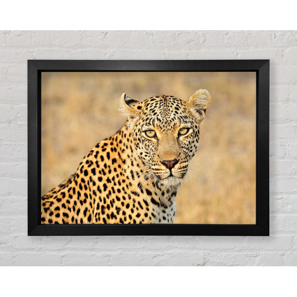 Bright Star Stunning Leopard - Single Picture Frame Print | Wayfair.co.uk