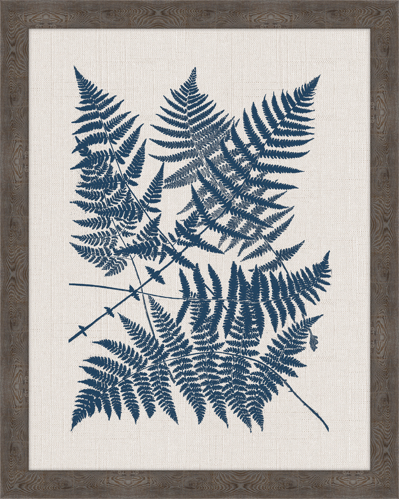 Gracie Oaks Polypodies - Picture Frame Graphic Art Print on Paper ...