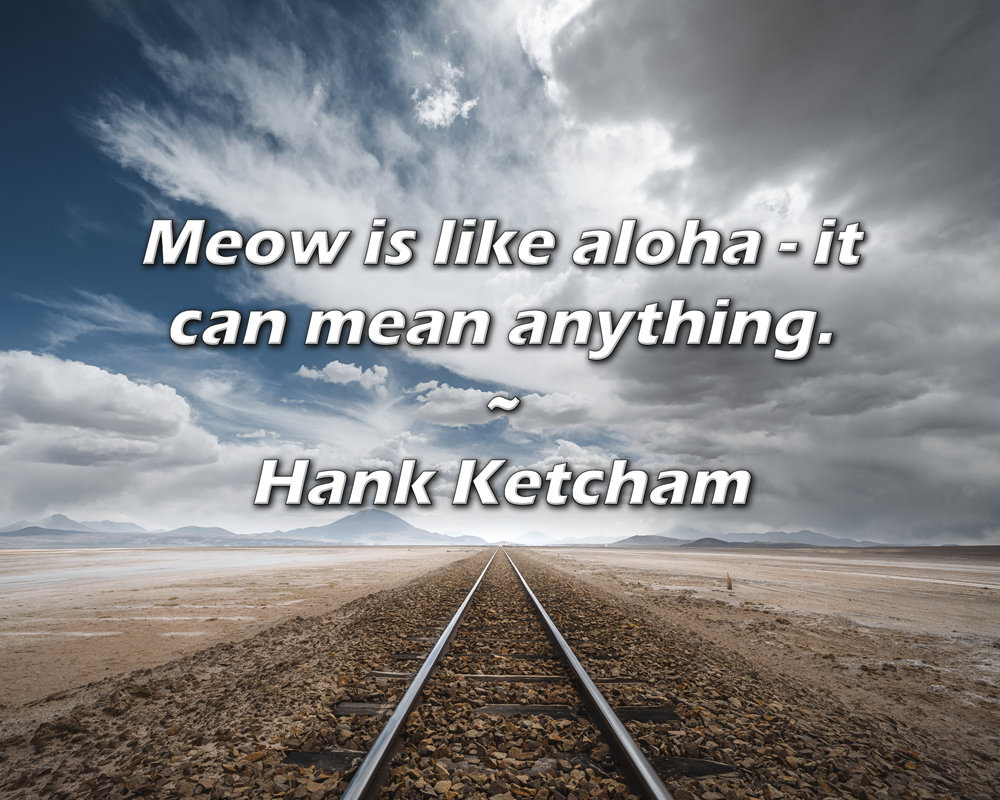 Astoria Grand Artsy Quote "Meow is like aloha - it can mean anything ...