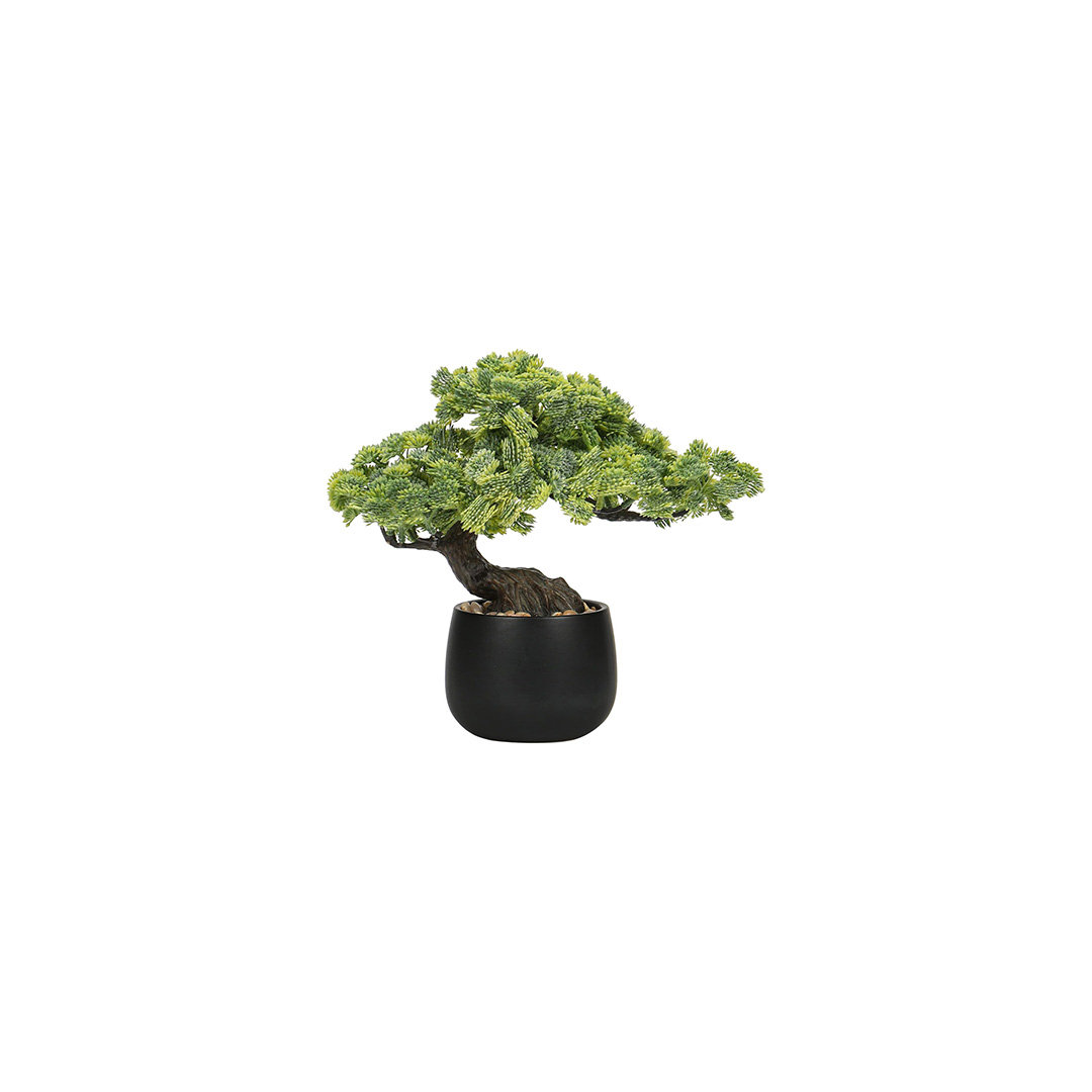 Primrue Artificial Bonsai Tree Juniper Faux Plants Indoor Fake Plants ...