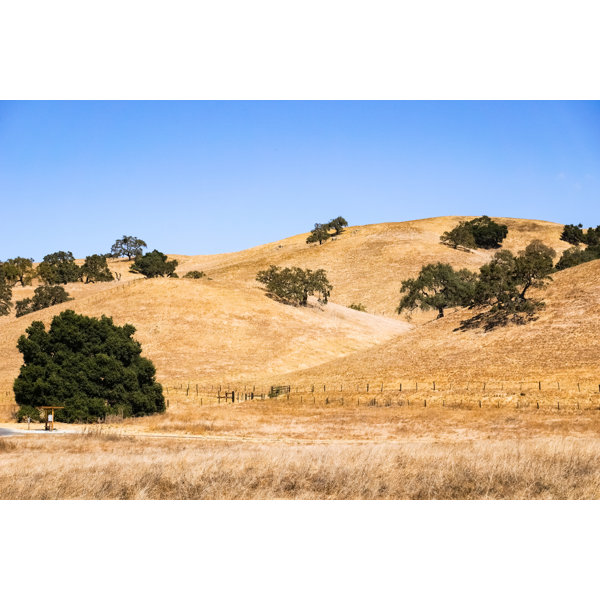 Natur Pur Harvey Bear Park by Sundry Photography - Wrapped Canvas Art ...