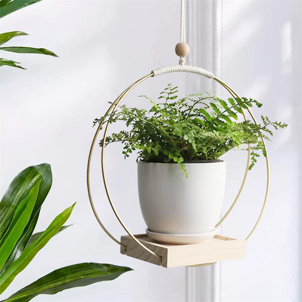 Latitude Run® Zapantis Hanging Planter - Wayfair Canada