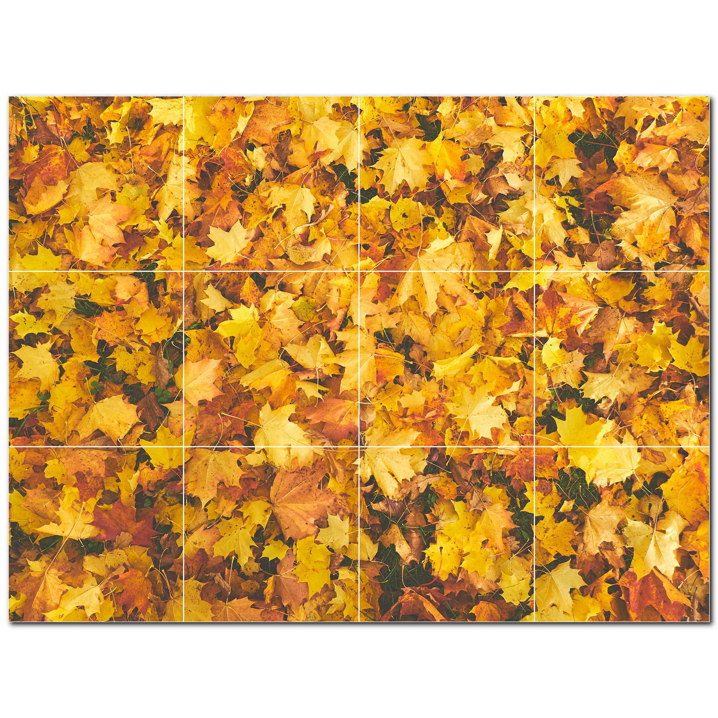 Picture-Tiles.com 12'' x 12'' Satin Ceramic Decorative Mural | Wayfair