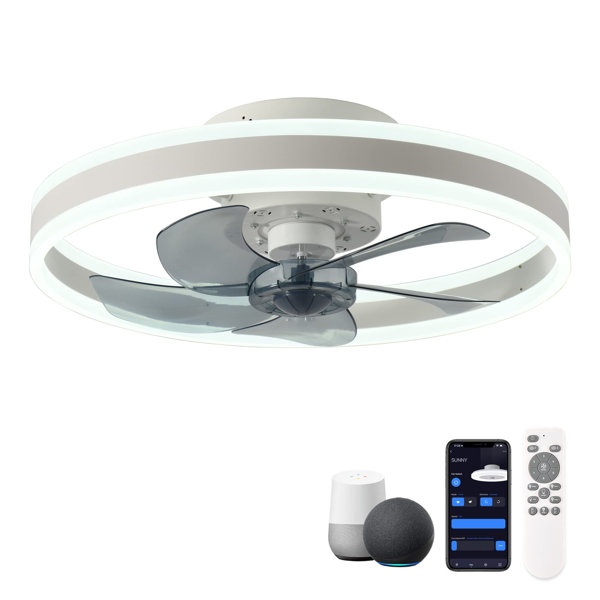 Ivy Bronx Isabelle 20" LED Smart Ceiling Fan with Light, APP/Remote ...
