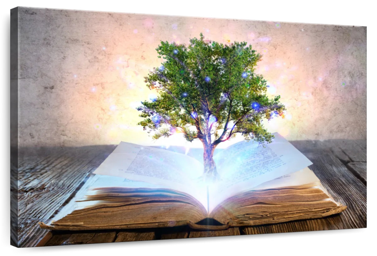 Zoomie Kids Ashelle Wisdom Tree Book | Wayfair