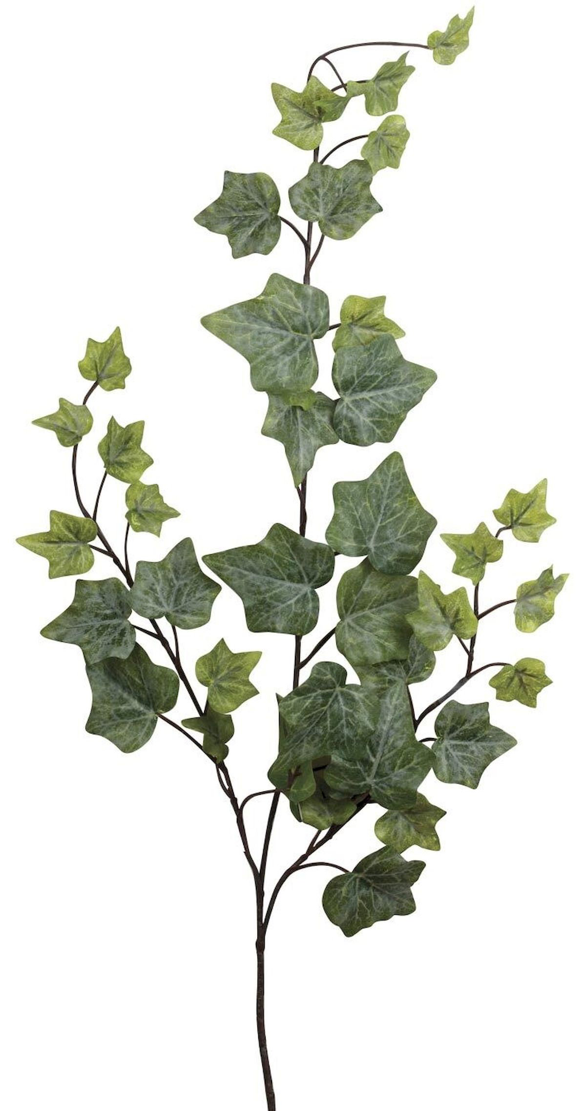 Primrue 25'' Faux Ivy Branch | Wayfair