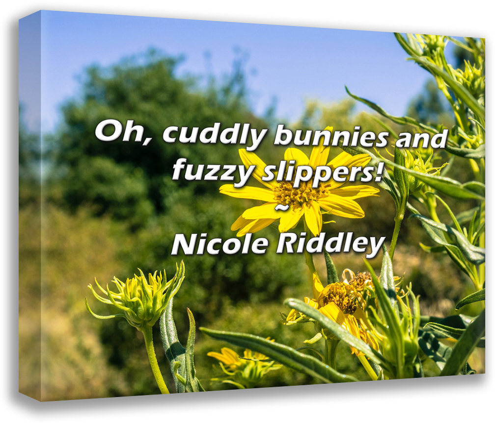 Astoria Grand Nicole Riddley Quote: Oh, cuddly bunnies and fuzzy ...