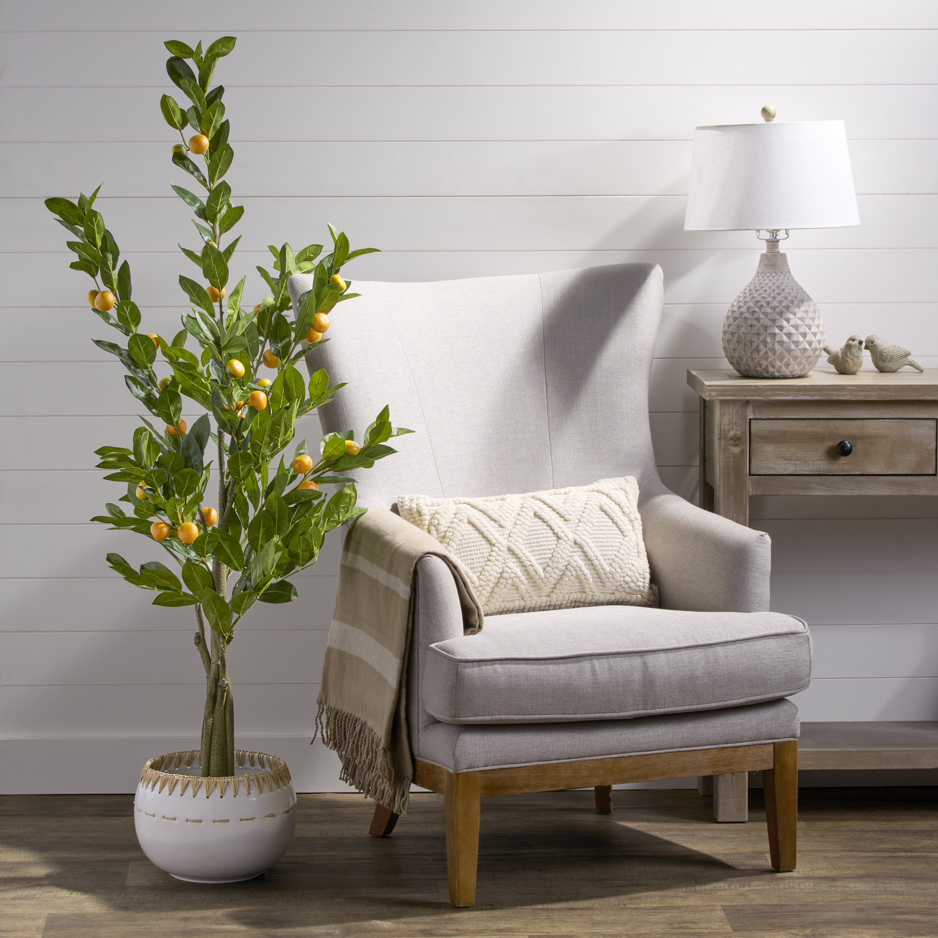 Primrue 5' Potted Mandarin Orange Tree - Wayfair Canada