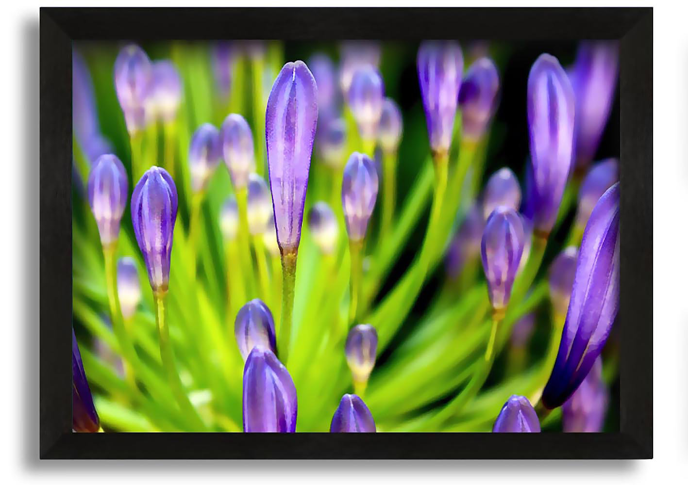Ophelia & Co. The Growth of Purple - Picture Frame Graphic Art on ...