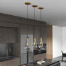 Williston Forge 1-Light Adjustable Height Hanging Pendant Light with ...