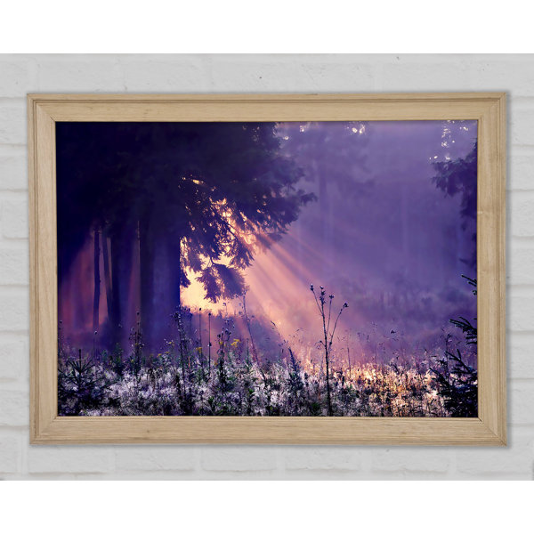 Union Rustic Sunray Tree - Single Picture Frame Art Prints | Wayfair.co.uk