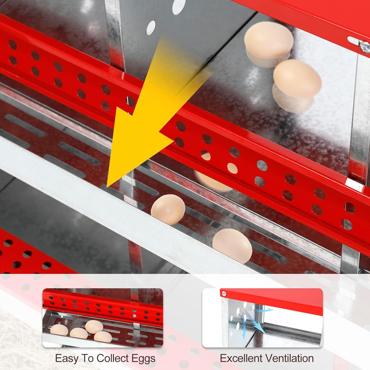 Archie & Oscar™ Erasmus Chicken Nesting Boxes,8 Compartment Nesting ...