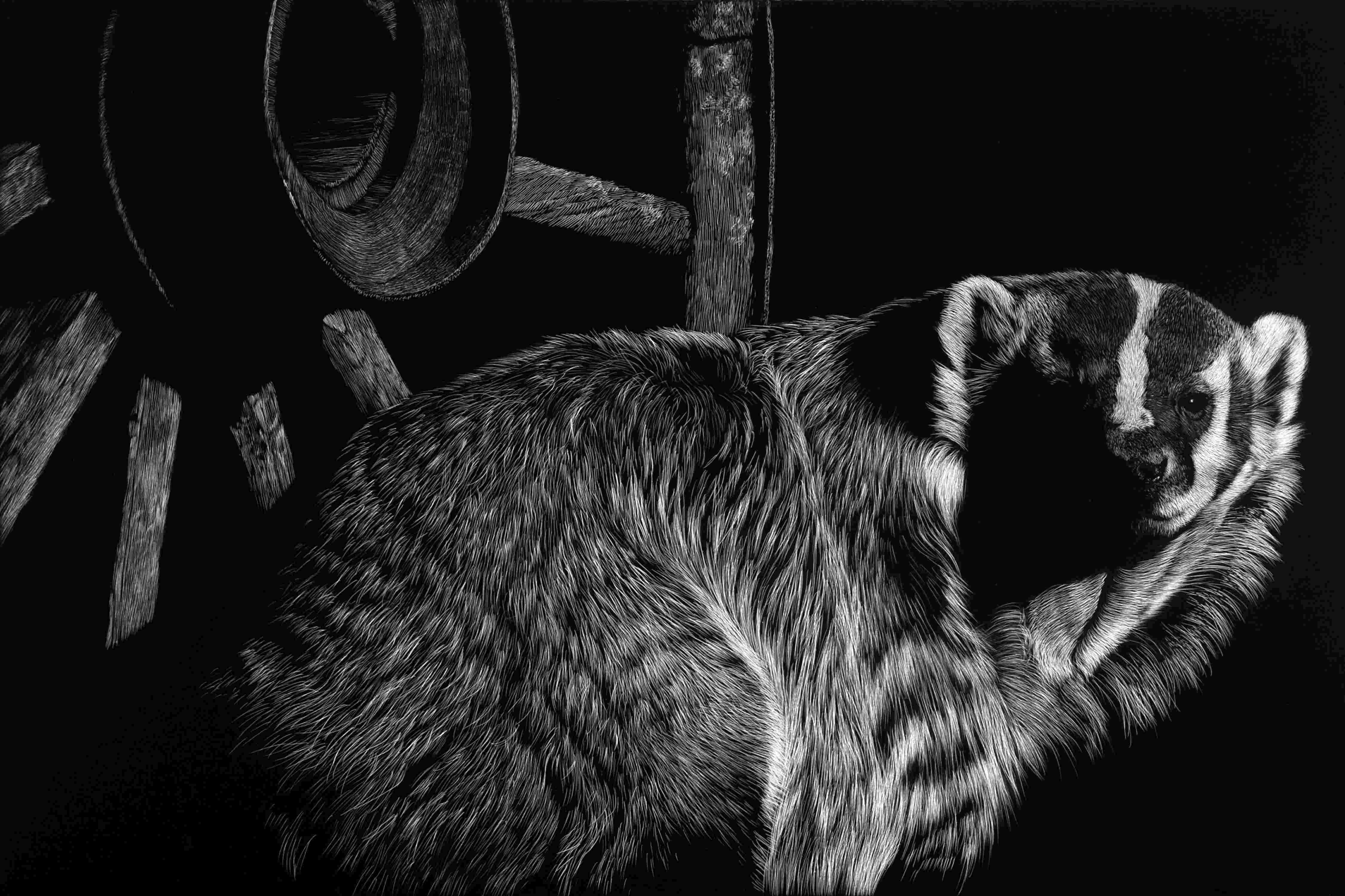 Red Barrel Studio Scratchboard Tenacious 2855300 - Wayfair Canada