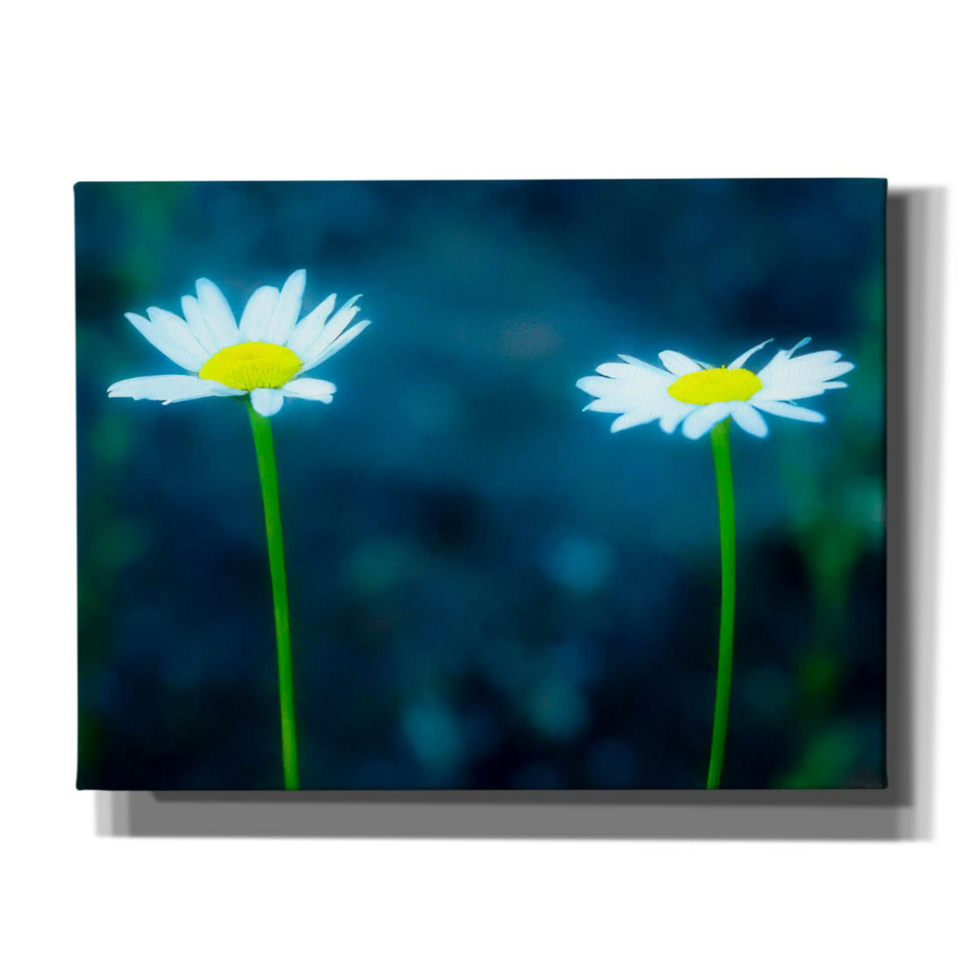 Latitude Run® Best Friends Forever by Pamela Plummer | Wayfair