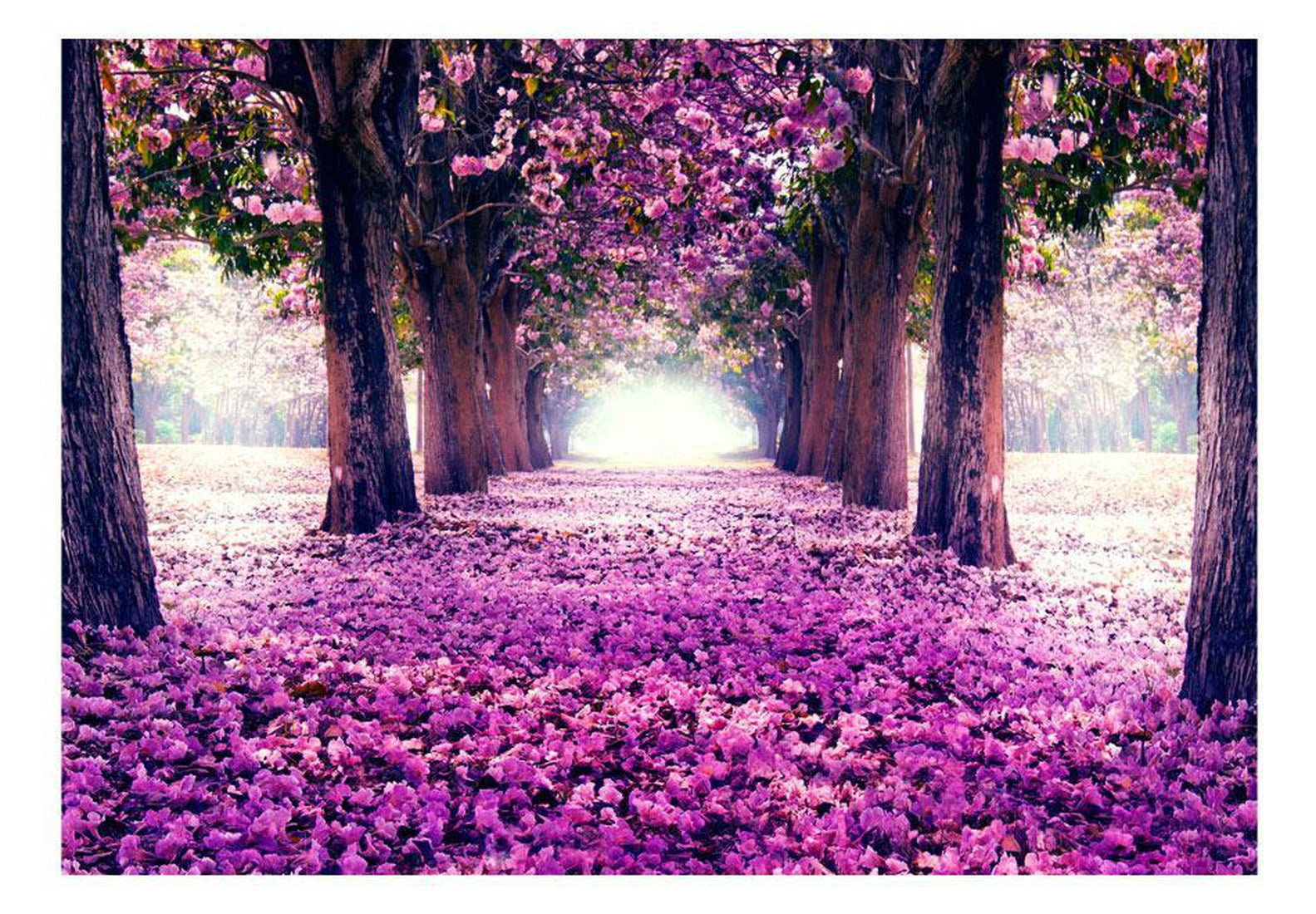 Wildon Home® Mongo Flower Road Wall Mural | Wayfair