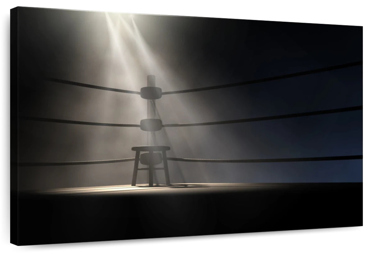 Elephant Stock Boxing Corner | Wayfair