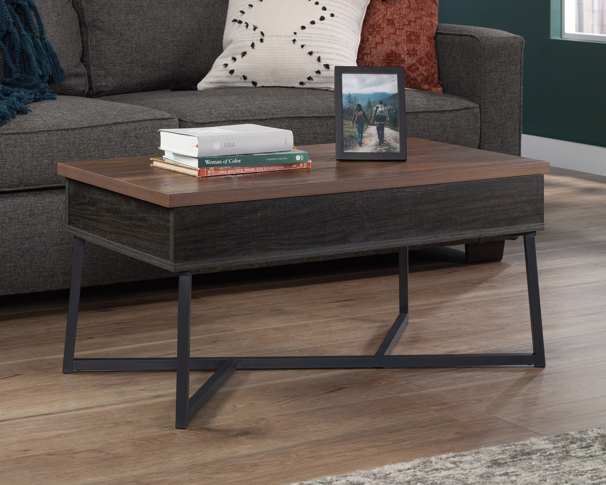 17 Stories Canton Lane Lift Top Frame Coffee Table with Storage | Wayfair