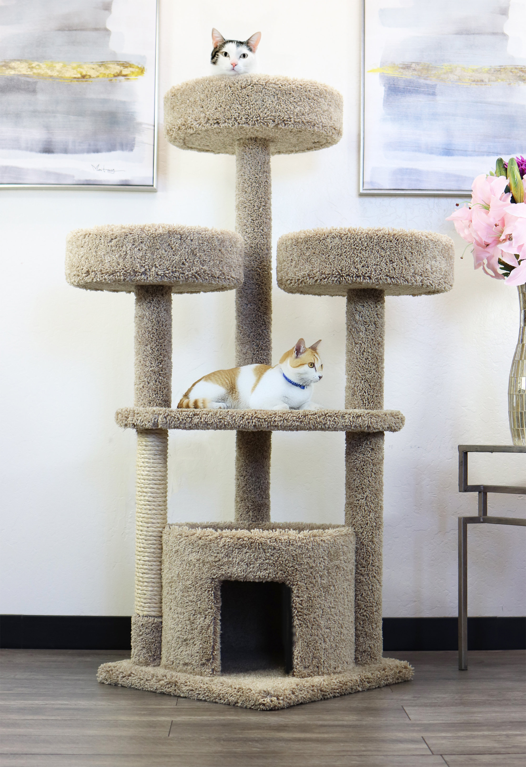 New Cat Condos 55'' Cat Tree And Condo & Reviews | Wayfair