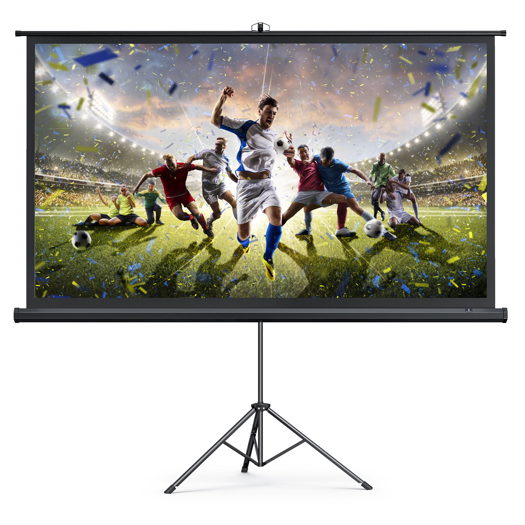 Taotronics Projector Screen | Wayfair