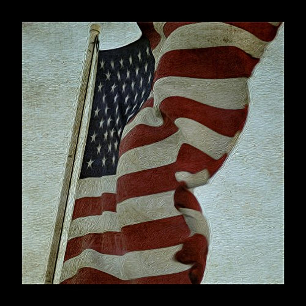 Charlton Home® American Flag by Brandi Fitzgerald - Picture Frame ...