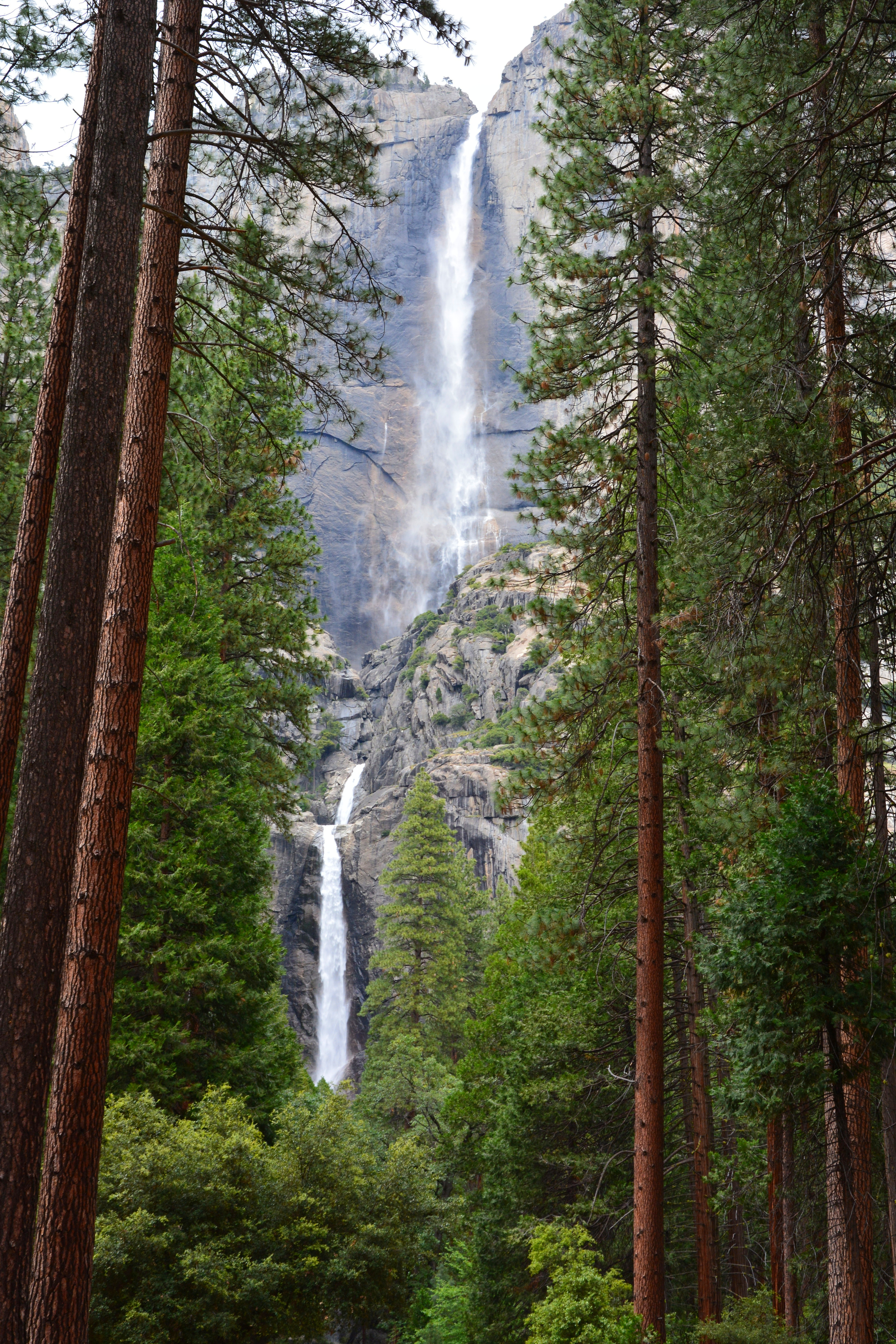Loon Peak® Merrie Yosemite Falls | Wayfair