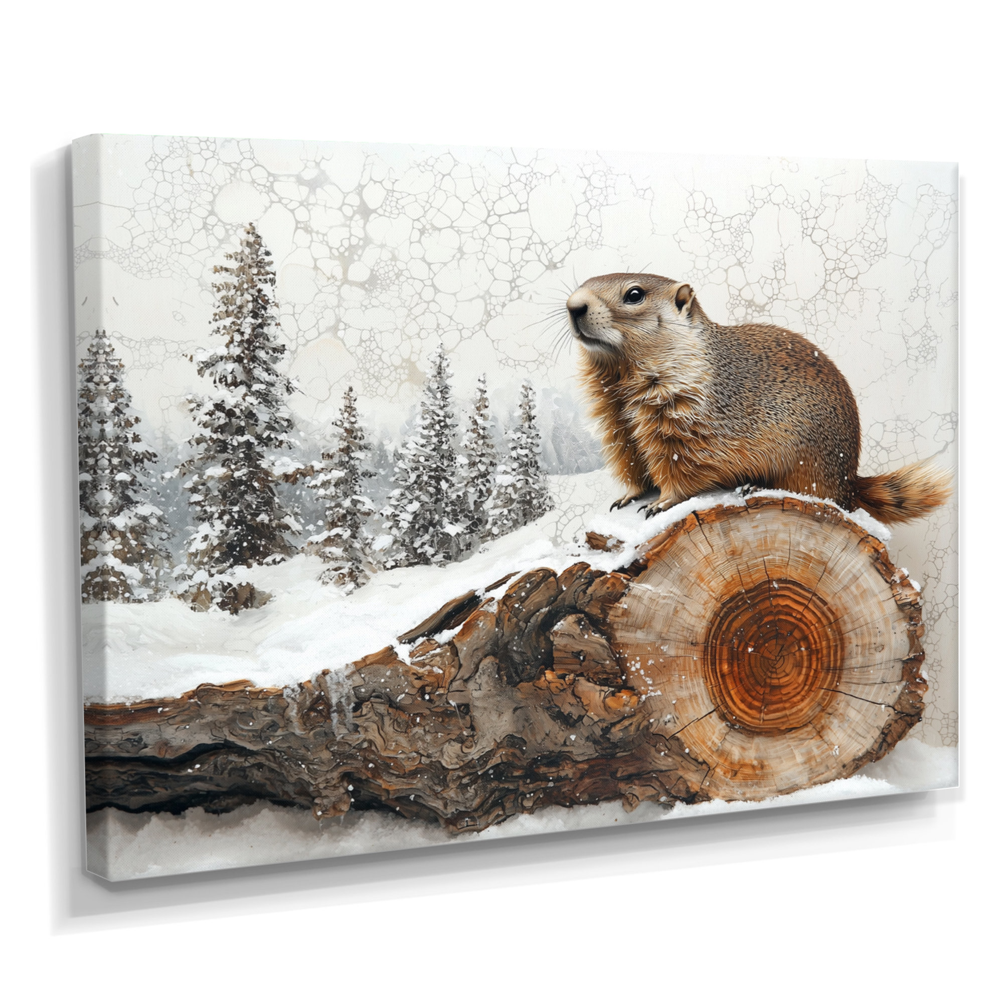 Millwood Pines Forest Marmot In Winter Landscape II - Groundhog Framed ...