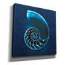 Epic Graffiti 'Cyanotype Sea 2' by Sue Schlabach Canvas Wall Art | Wayfair