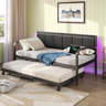 Wrought Studio™ Upholestered Daybed with Trundle, Convertible Twin Day ...
