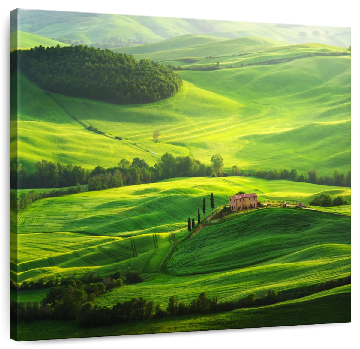 Ebern Designs Nicci Tuscan Rolling Field | Wayfair