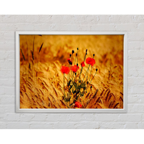 Bright Star Poppies 3 - Single Picture Frame Print on Canvas | Wayfair ...