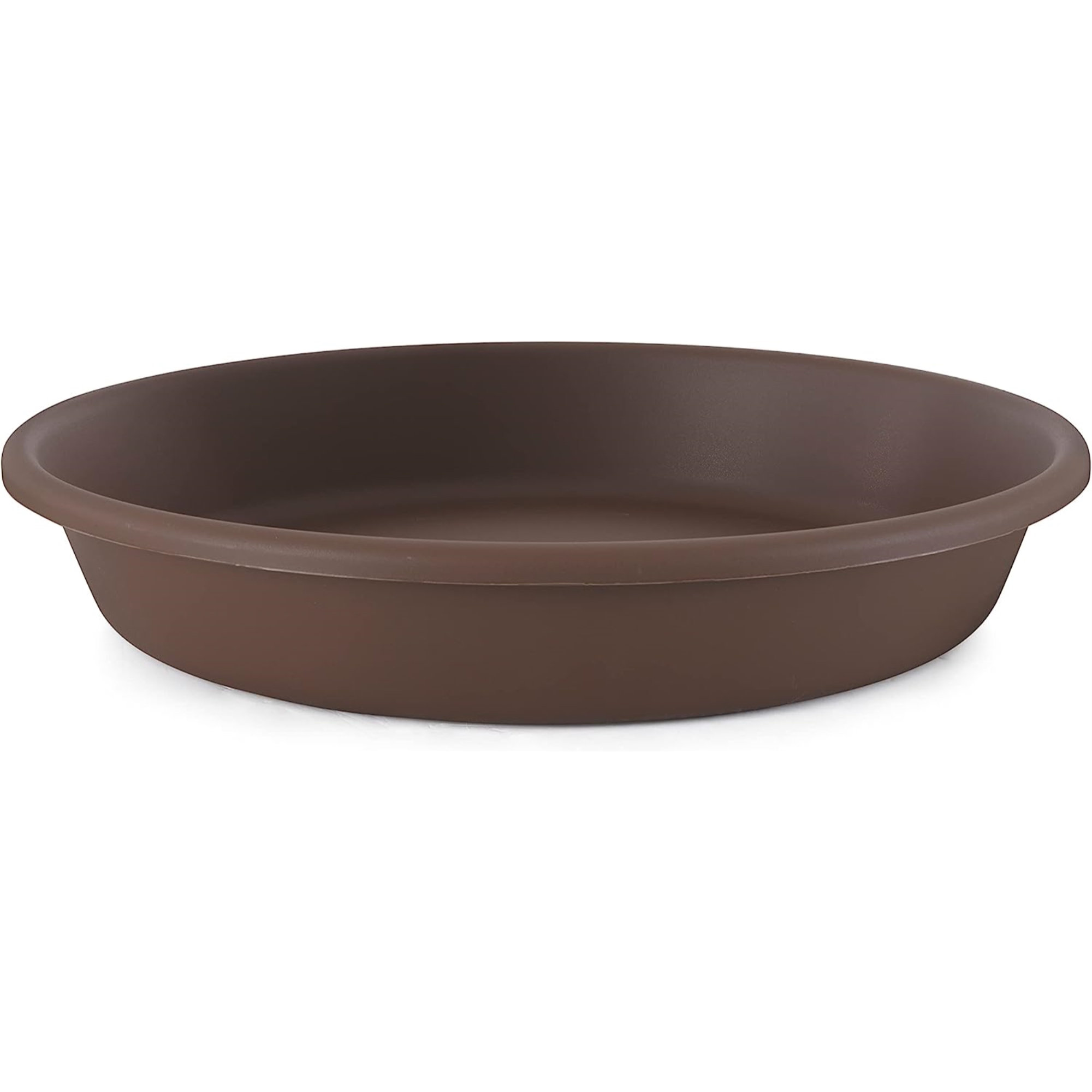 Winston Porter Klazien Saucer | Wayfair