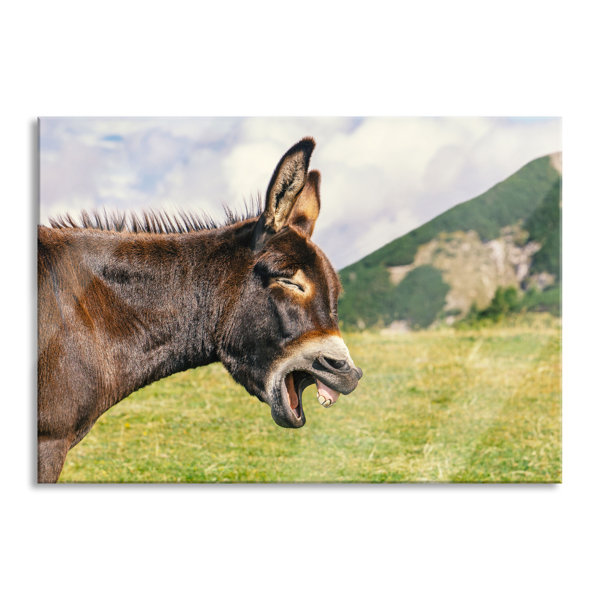 August Grove Roaring Donkey In A Green Mountain Meadow - No Frame Print ...