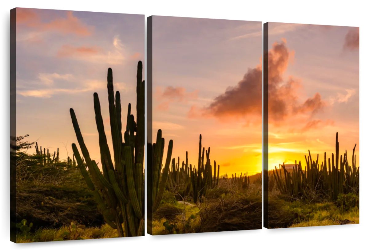 Lark Manor™ Harnek Cactus Sunset | Wayfair