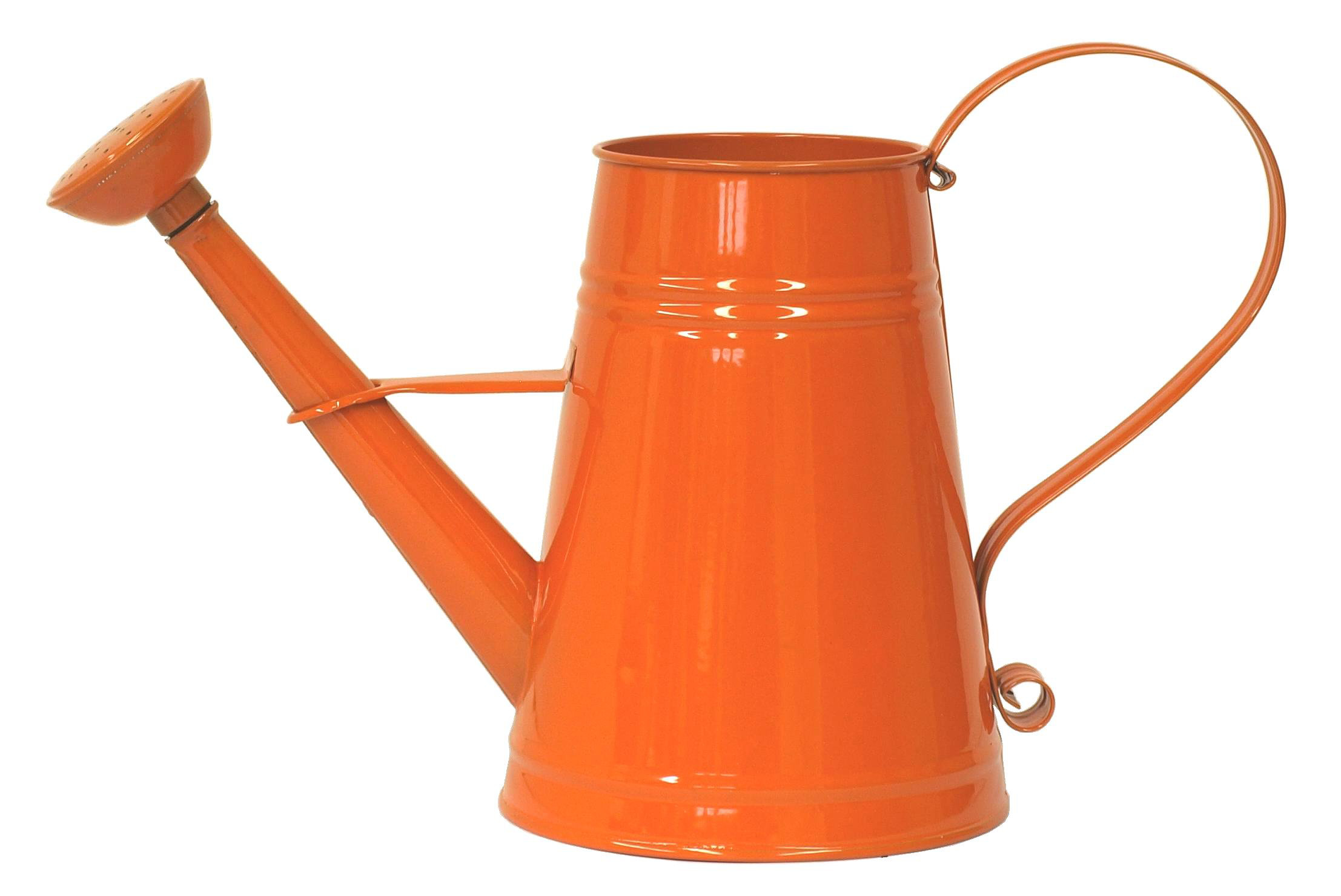 August Grove® Enameled Galvanized Steel Watering Can Vase 1 Gal ...