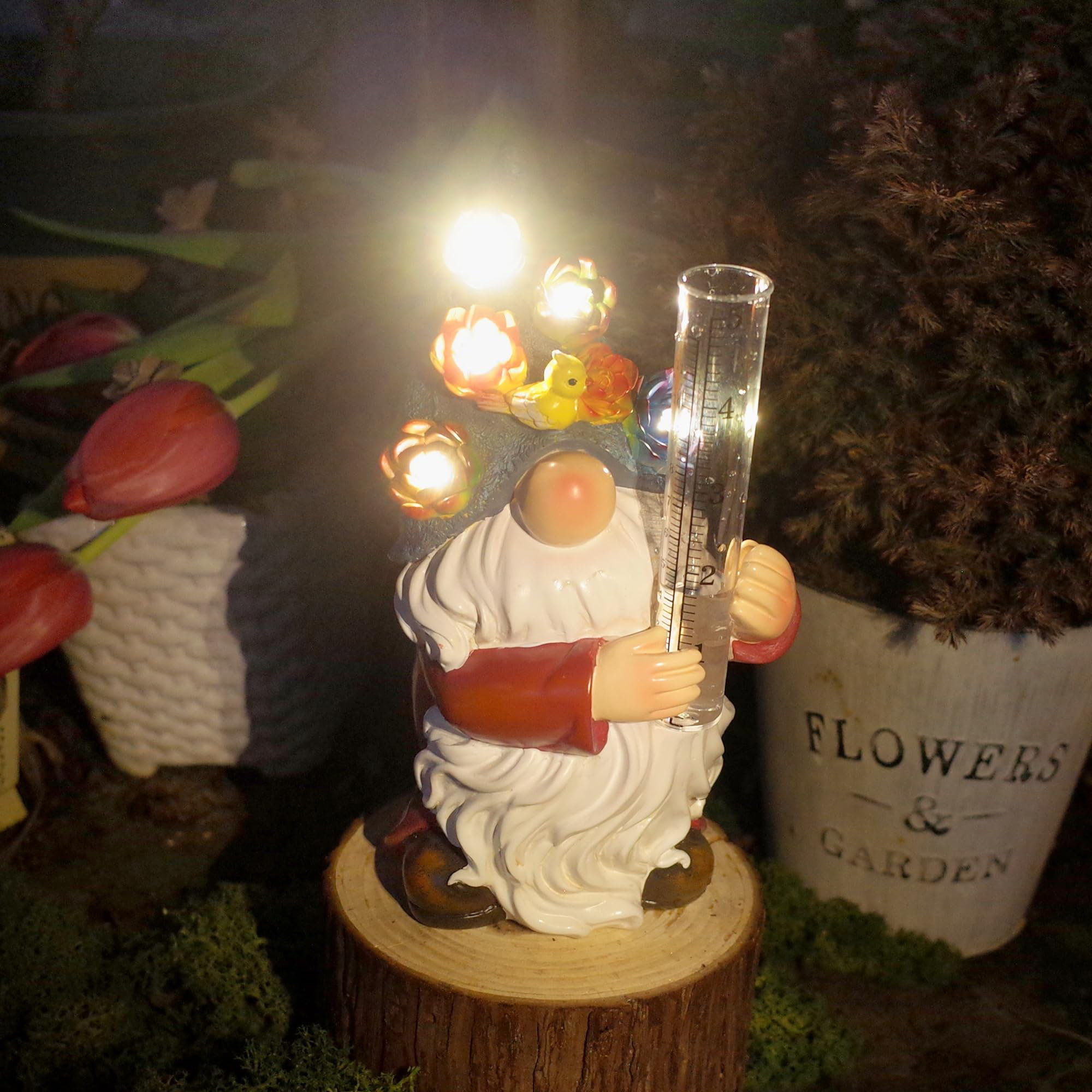 Arlmont & Co. Resin Gnome Solar Rain Gauges | Wayfair