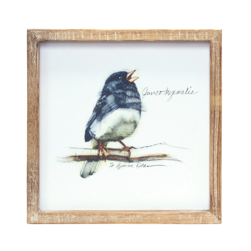 Red Barrel Studio® Wood Framed Bird Art Print (Set of 4)-85171DS | Wayfair