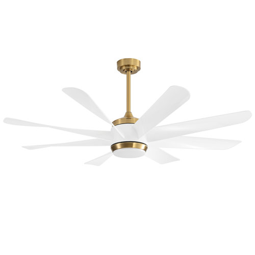 White & Cream Ceiling Fans With Lights You'll Love | Wayfair