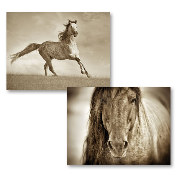 Mustangsally321@aol.com | Wayfair