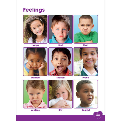 Newmark Learning Social and Emotional Learning Flip Chart | Wayfair