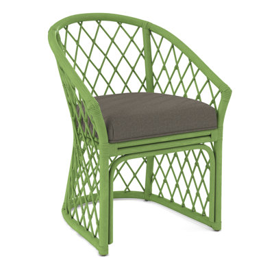 Raleigh Arm Chair | Birch Lane