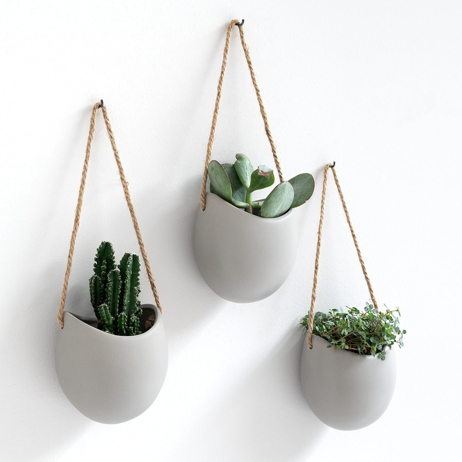 Breakwater Bay Hanging Ceramic Plant Pots 3 Pieces,Wall Decoration ...