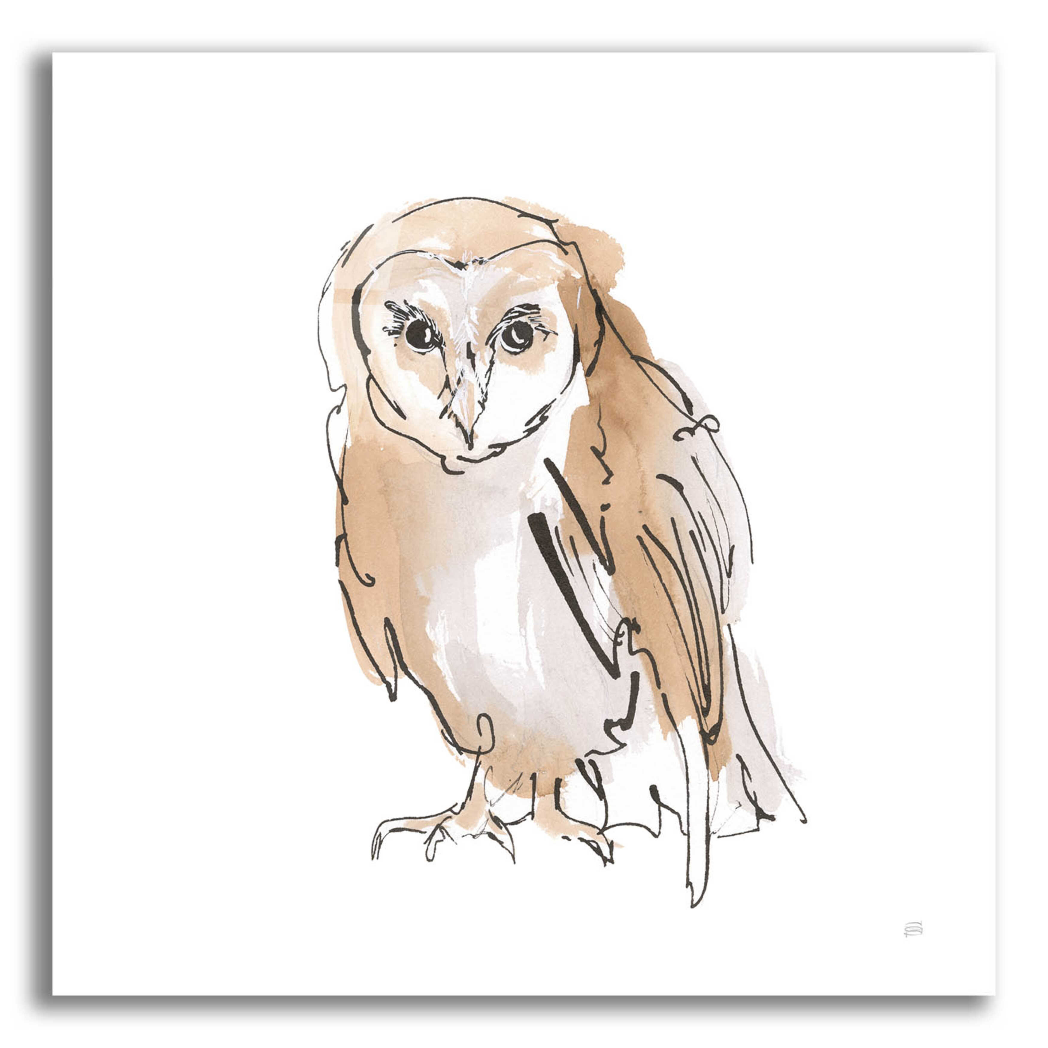 Millwood Pines Epic Art 'Barn Owl VII' By Chris Paschke, Acrylic Barn ...