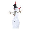 The Holiday Aisle® Snowman Lighted Display & Reviews | Wayfair