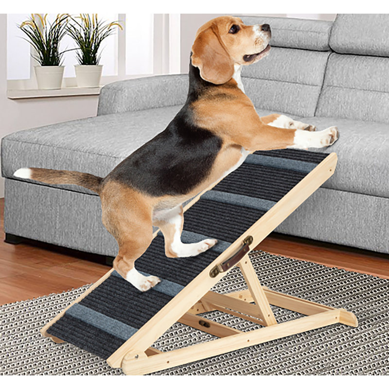 Tucker Murphy Pet™ Pet Wood Ramp Ladder With 6 Adjustable Height ...