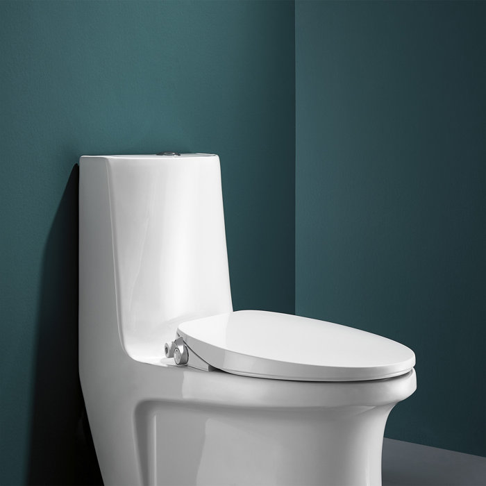 Vinnova Taranto Elongated Soft Close Toilet Seat and Lid | Wayfair