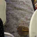 Langley Street Benfield Beige Machine Washable Area Rug & Reviews ...